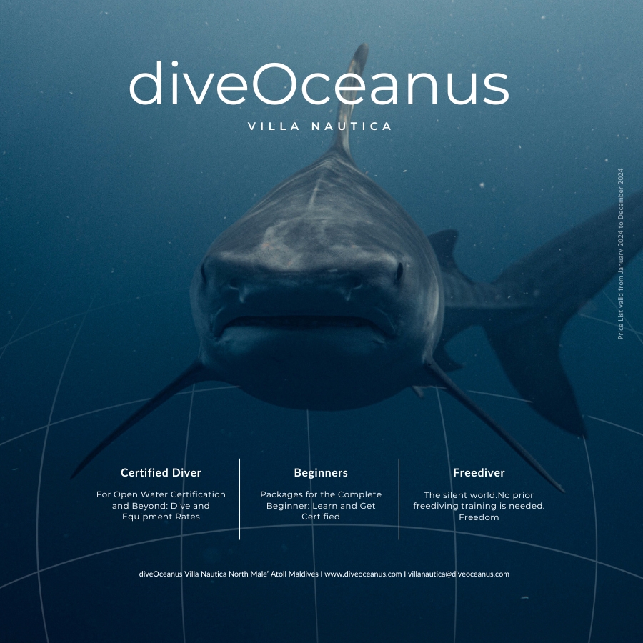 Scuba Diving Villa Nautica Paradise Island Maldives | diveOceanus